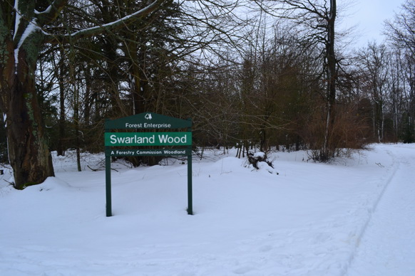 Swarland Wood - Woodland Trust