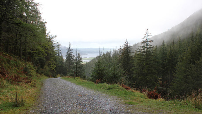 Dodd Wood - Woodland Trust