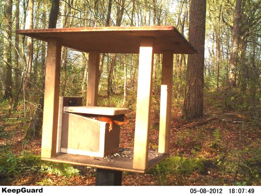 High Stand - Woodland Trust