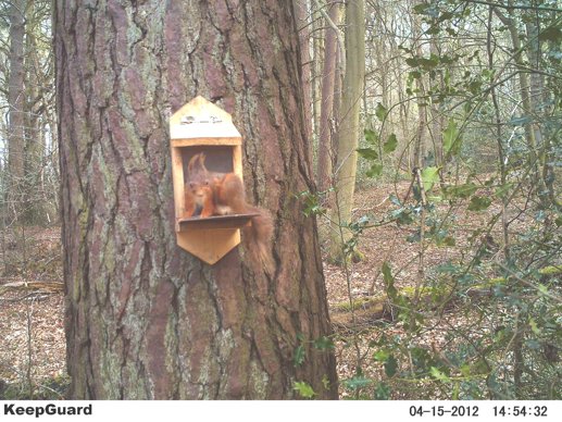 High Stand - Woodland Trust