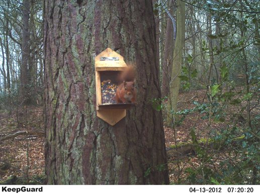 High Stand - Woodland Trust