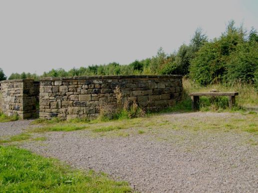 Hurst Wood - Woodland Trust