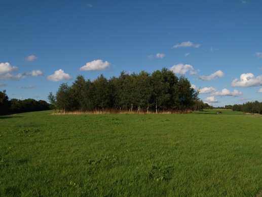 Hurst Wood - Woodland Trust