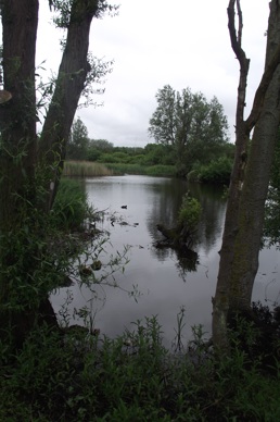 Bidston Moss - Woodland Trust