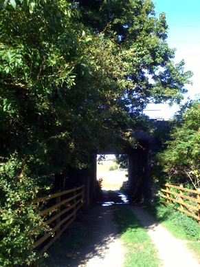 Careby - Woodland Trust