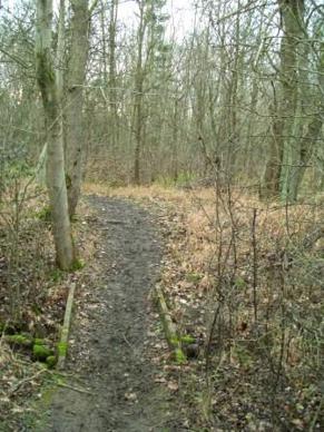 Ampthill Forest - Wilstead Wood - Woodland Trust