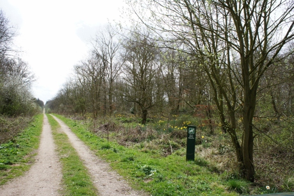 Kesteven Forest - Callan's Lane Wood - Woodland Trust