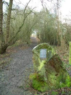 Ampthill Forest - Maulden Wood - Woodland Trust
