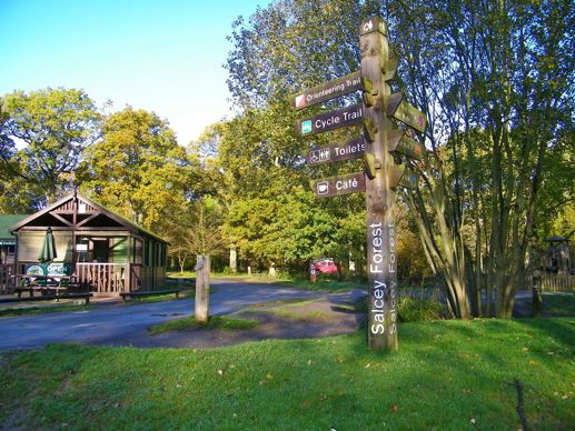 Salcey Forest - Woodland Trust