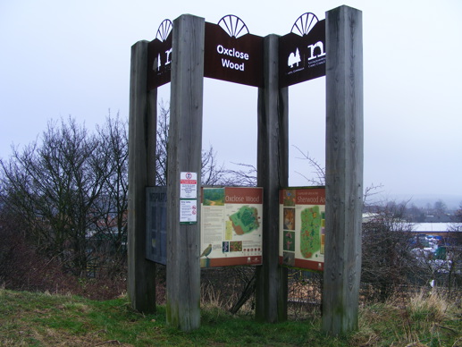 Oxclose Wood - Woodland Trust