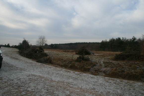 Bevercotes Colliery - Woodland Trust