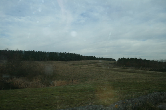 Bevercotes Colliery - Woodland Trust