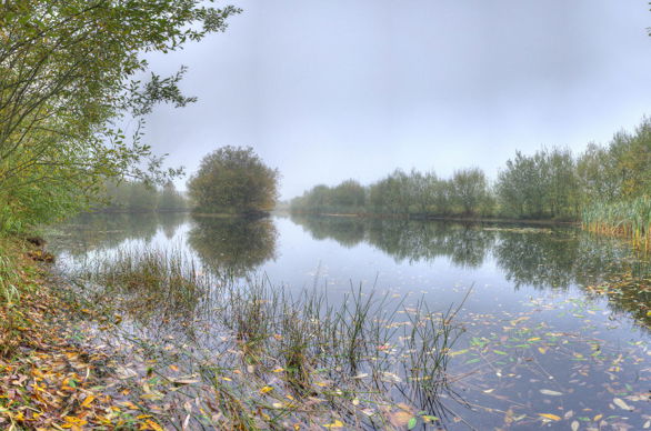 Bevercotes Colliery - Woodland Trust