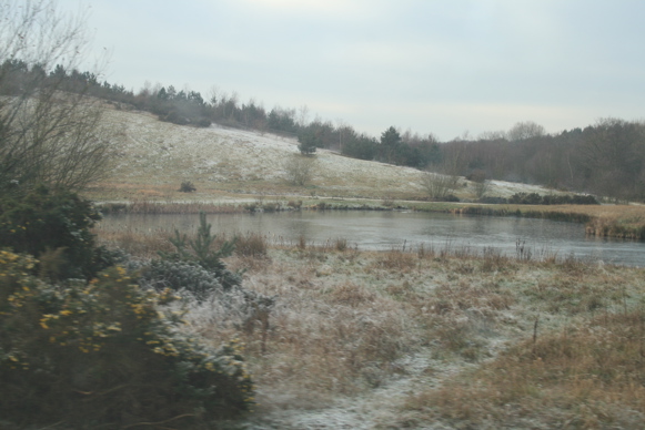 Bevercotes Colliery - Woodland Trust
