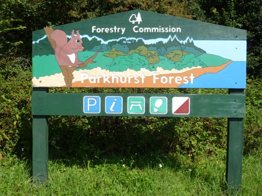 The Forests of the Isle of Wight - Parkhurst Forest - Woodland Trust