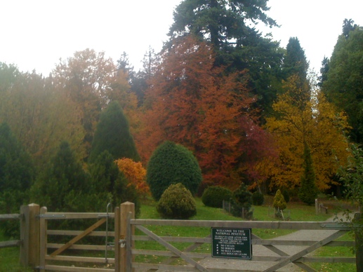 Bedgebury National Pinetum and Forest - Woodland Trust