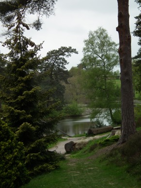 Bedgebury National Pinetum and Forest - Woodland Trust