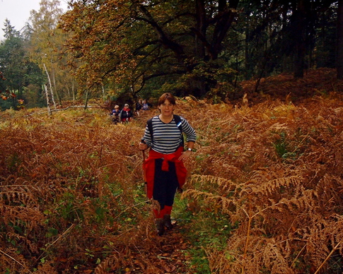 The Marches - Mortimer Forest - Woodland Trust