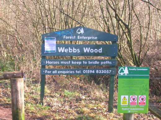 Webb's Wood - Woodland Trust