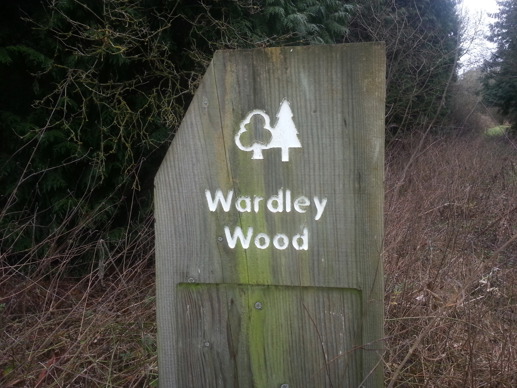 Wardley Wood - Woodland Trust