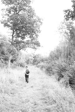 Bardney Limewoods - Wickenby Wood - Woodland Trust