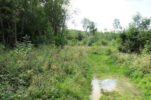 Bardney Limewoods - Wickenby Wood - Woodland Trust