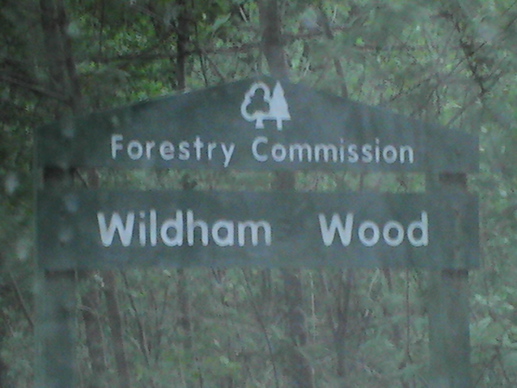 Wildhams Wood - Woodland Trust