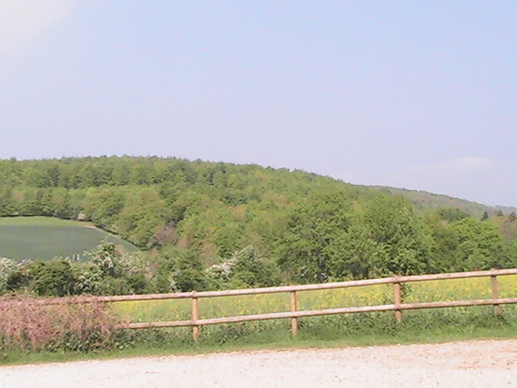 Wildhams Wood - Woodland Trust