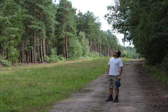 Bourne Wood - Woodland Trust