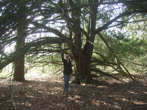 Farley Mount Country Park - Woodland Trust