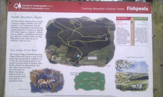 Radnor - Radnor Wood - Woodland Trust