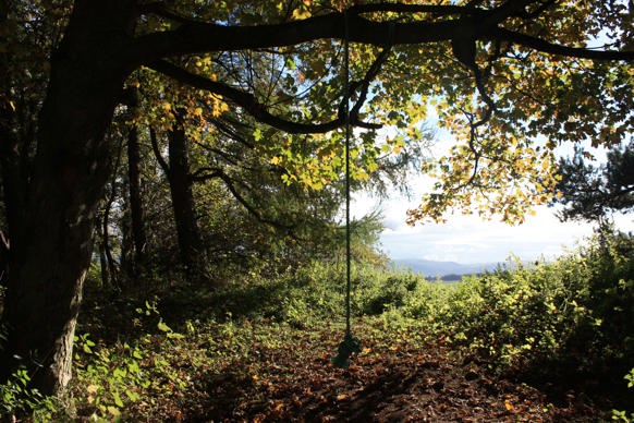 Kinnoull Hill Woodland Park - Binn Hill - Woodland Trust