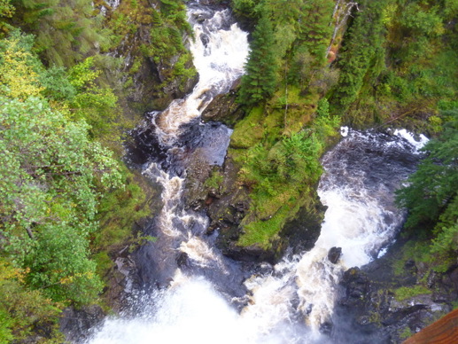 Glen Affric NNR - Woodland Trust