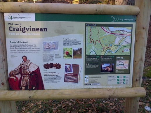 Craigvinean Forest - Woodland Trust