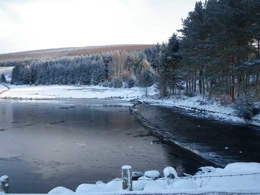Glen Isla - Woodland Trust