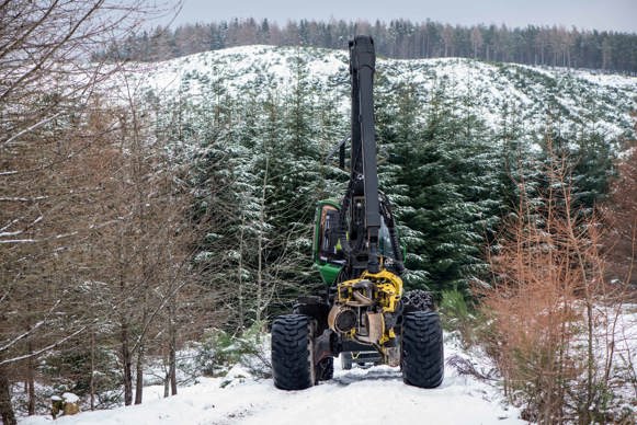 Corrennie - Woodland Trust