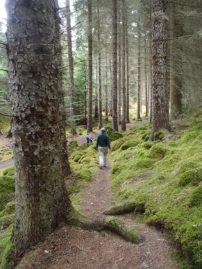 Farigaig Forest - Woodland Trust
