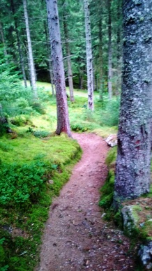 Farigaig Forest - Woodland Trust