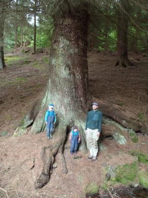 Farigaig Forest - Woodland Trust