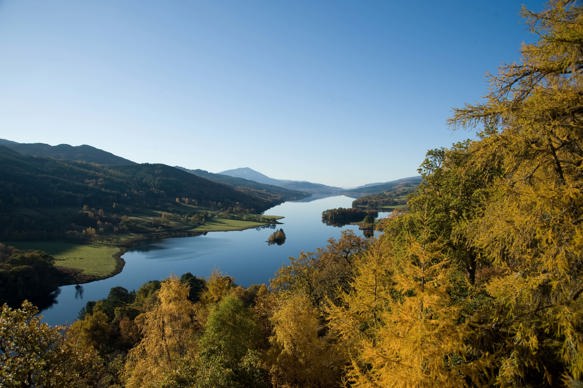 Allean - Woodland Trust