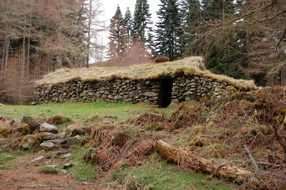 Allean - Woodland Trust