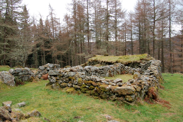 Allean - Woodland Trust