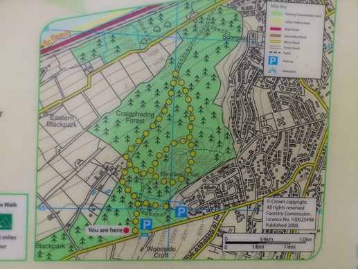 Craig Phadrig - Woodland Trust