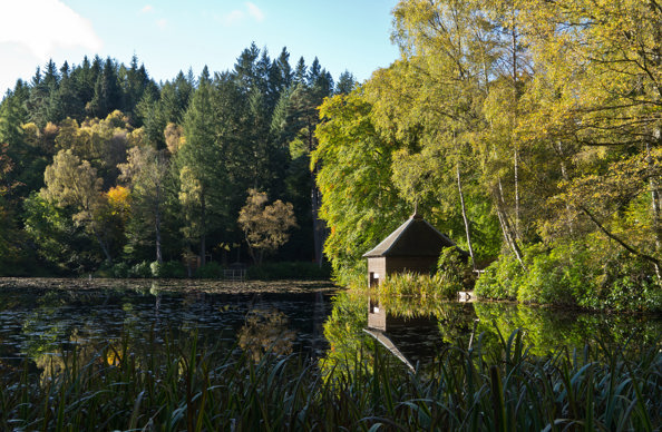 Tay Forest Park - Faskally - Woodland Trust