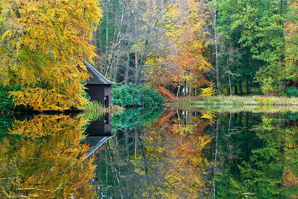 Tay Forest Park - Faskally - Woodland Trust