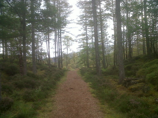 Loch Sunart - Garbh Eilean - Woodland Trust