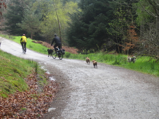 Kirkhill Forest - Woodland Trust