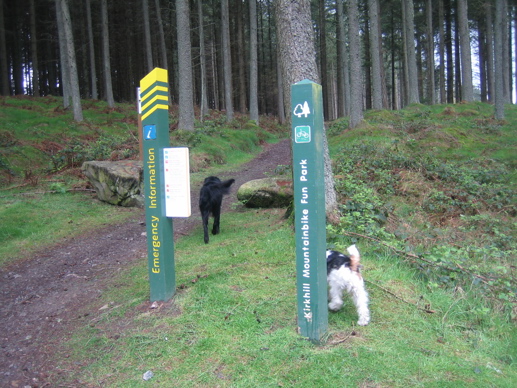 Kirkhill Forest - Woodland Trust
