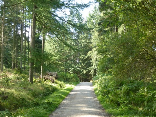 Kirkhill Forest - Woodland Trust