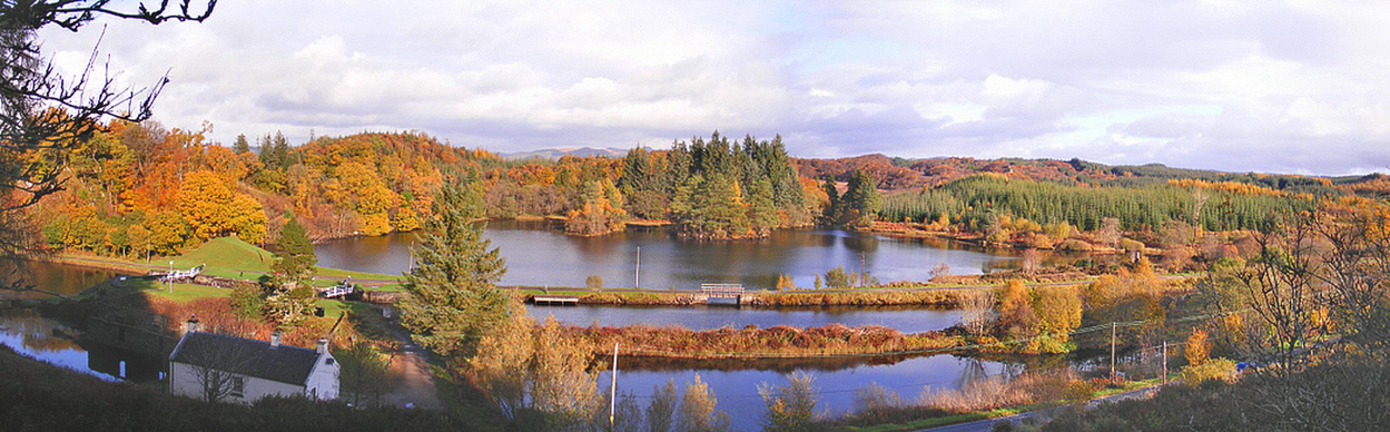 Knapdale Forest - Woodland Trust